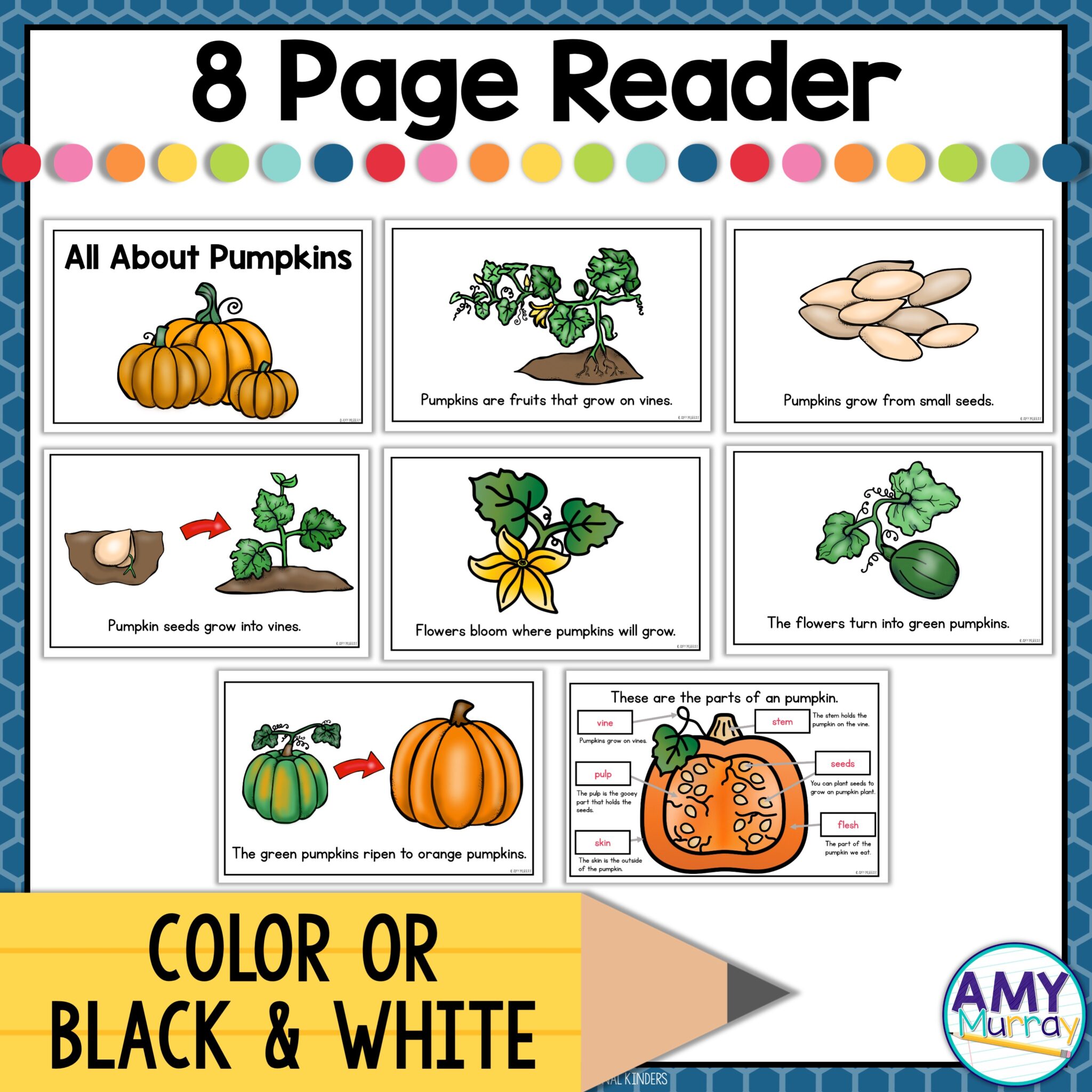 Pumpkin Life Cycle Worksheets and Seesaw Activity | Kindergarten ...