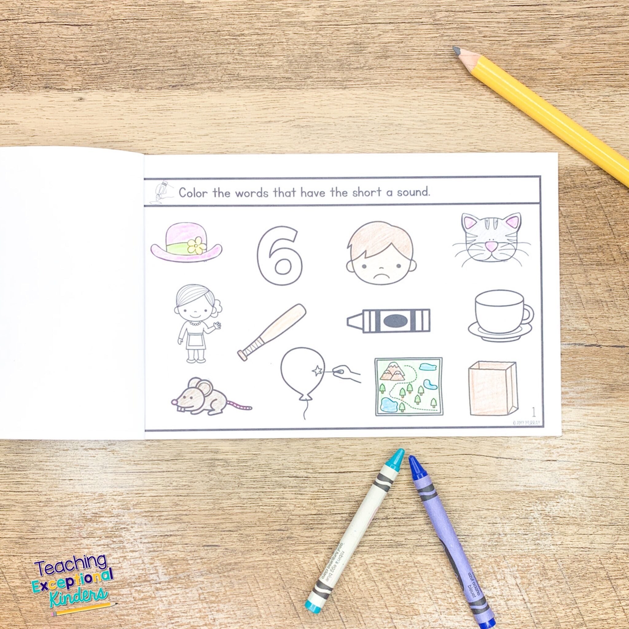 Interactive Short Vowel CVC Word Books - Teaching Exceptional Kinders
