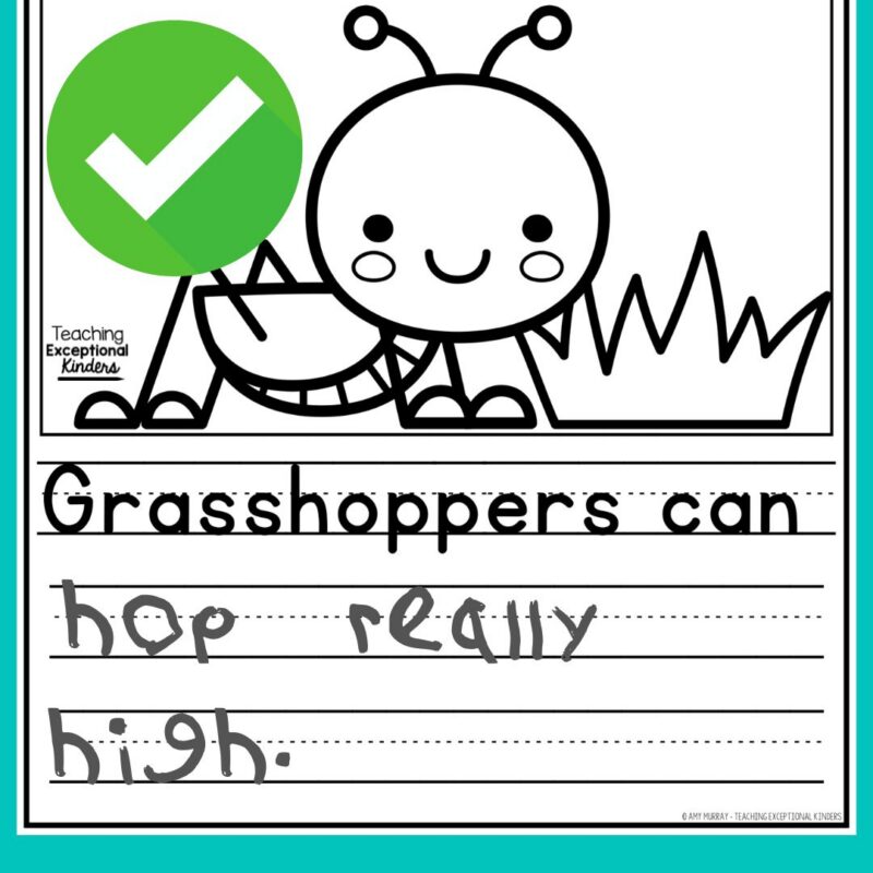A Better Way to Teach Handwriting Spacing (Without Spaghetti and ...